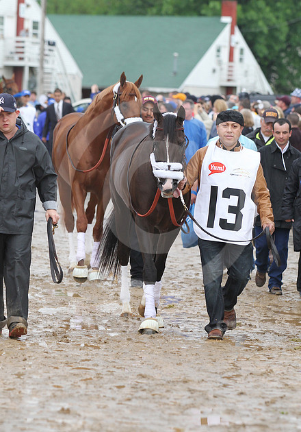 Horsephotos.com | 2010 Kentucky Derby | tc10kd82_dk